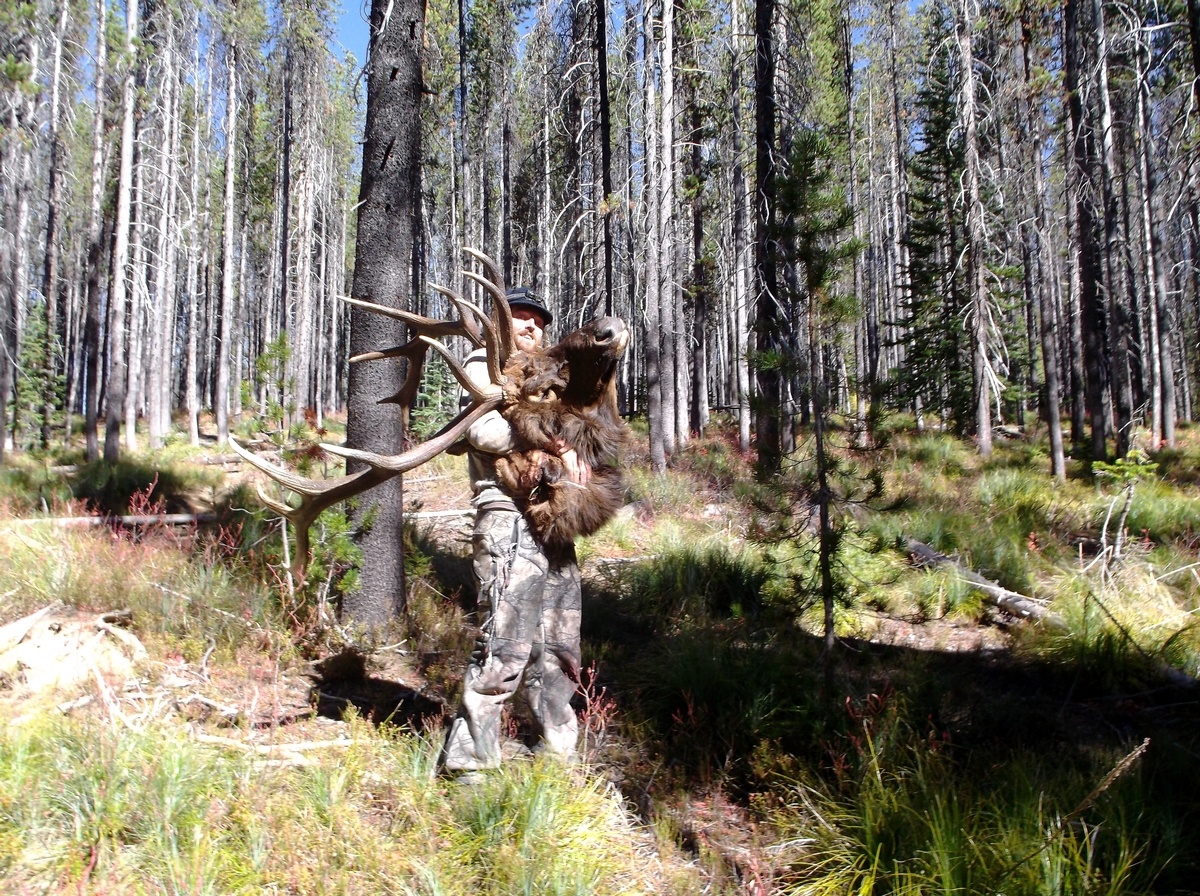 Trophy Idaho Elk Hunts - Ready Outfitters